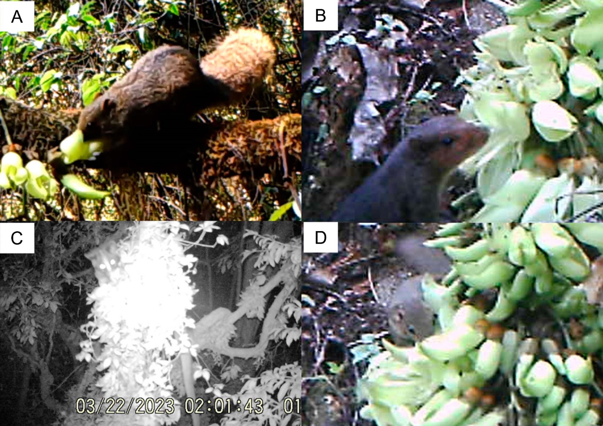 Bio Ecosystem – DEPARTMENT OF BIOLOGY