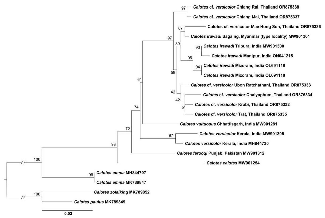 Biodiversity – DEPARTMENT OF BIOLOGY