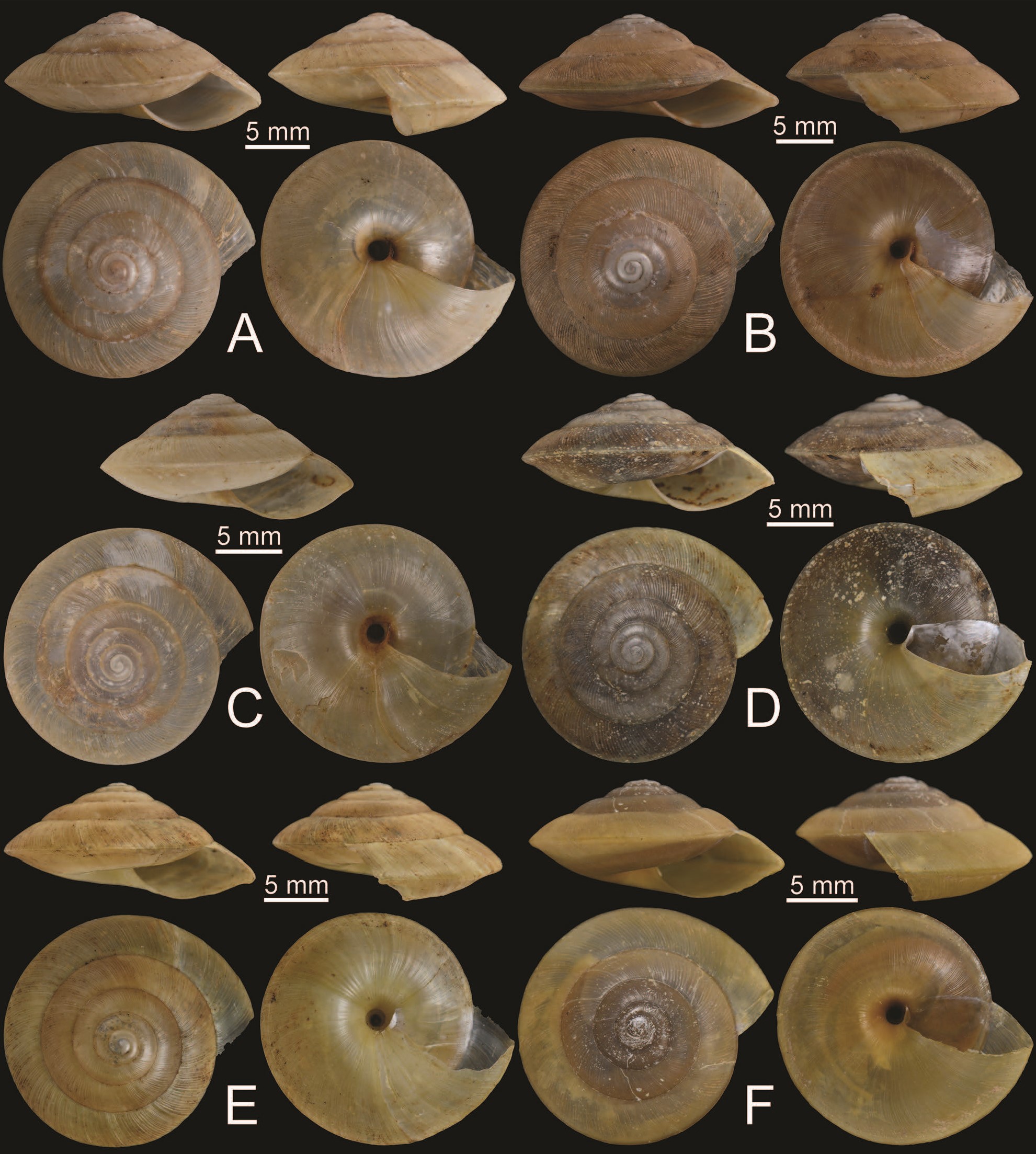 Biodiversity – DEPARTMENT OF BIOLOGY